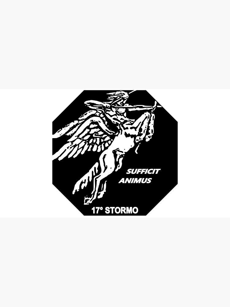 "17º Stormo Incursori - 17th Raiders Wing (Italian Air Force Special ...