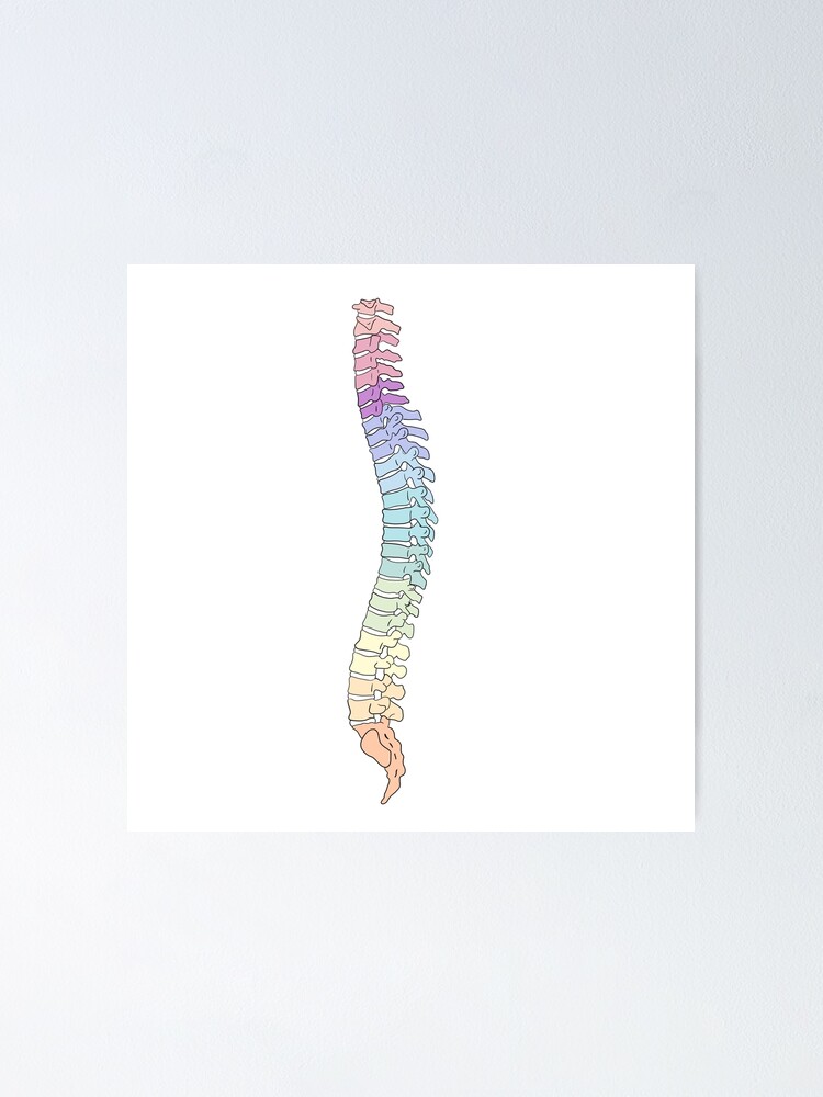 "Pastel Rainbow Spinal Column " Poster by aybdubs | Redbubble