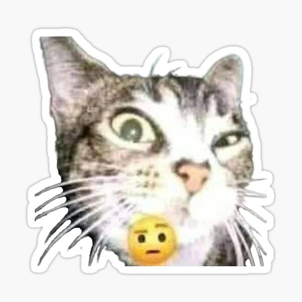 "cat meme face | funny cat" Sticker for Sale by jassine11 | Redbubble