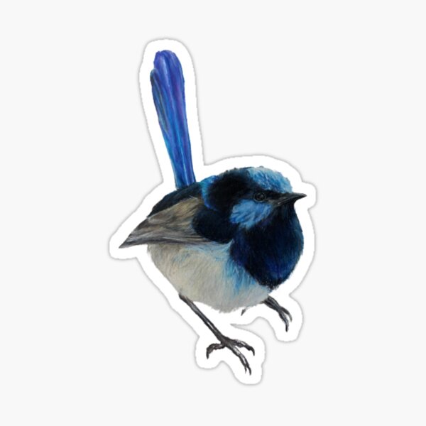 "Fairy Wren" Sticker by Malchander | Redbubble