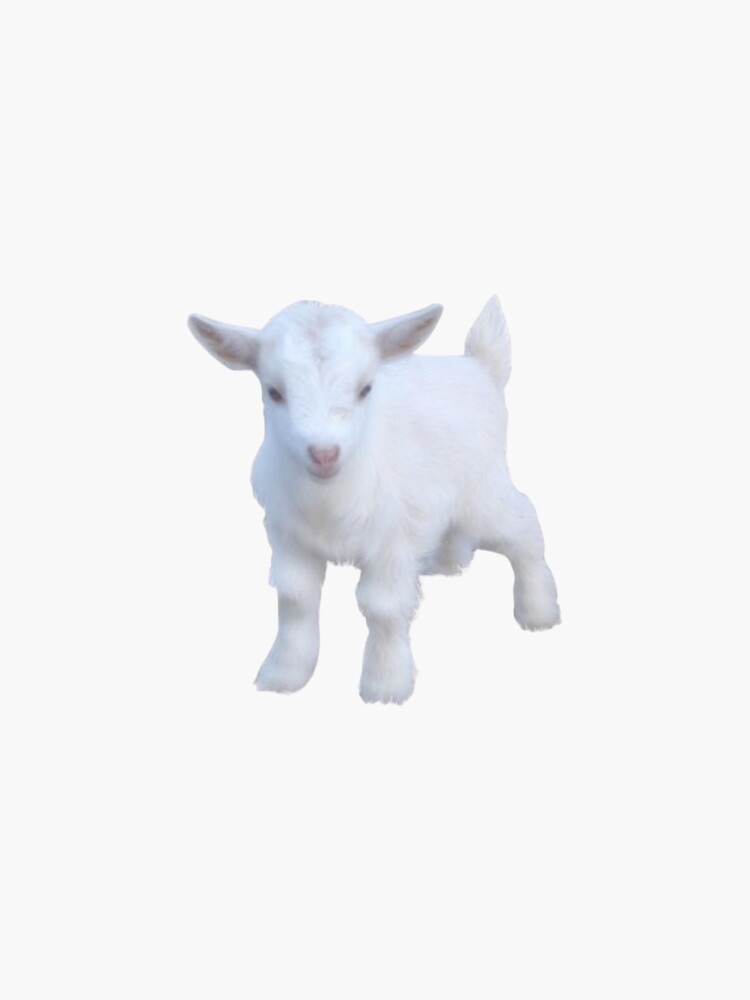 "baby goat" Sticker for Sale by champagnefawn | Redbubble