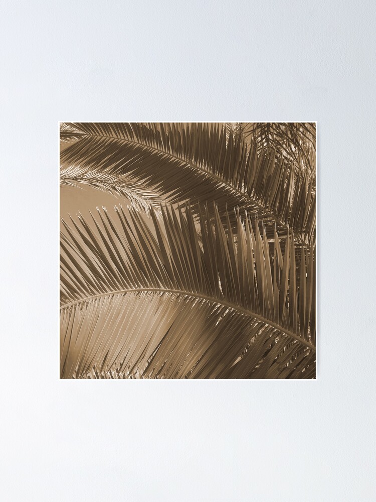 "Dramatic Sepia Palm Leaves Exquisite Photo Art" Poster for Sale by ...