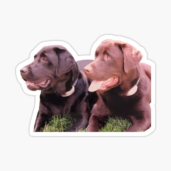 ekkit Shop | Redbubble