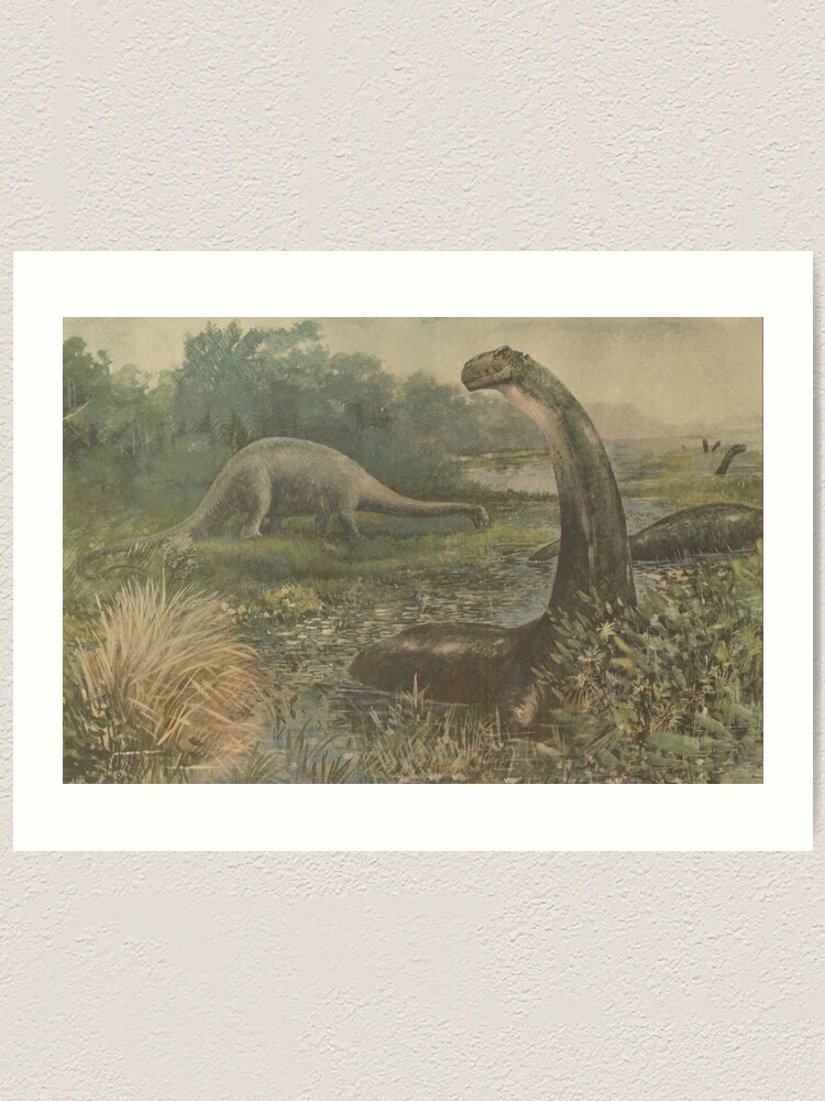 "Vintage Dinosaur Paleoart - Brontosaurus and Diplodocus " Art Print ...