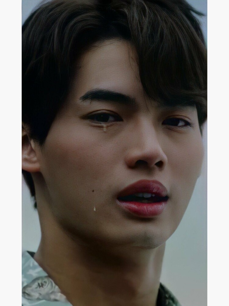 "Tine Tears" Sticker for Sale by hwishine | Redbubble