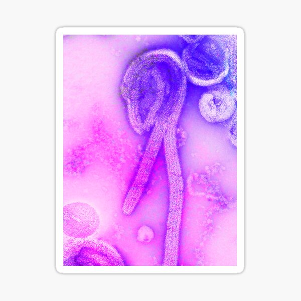 "H&E stain parasite" Sticker by AvasMix | Redbubble