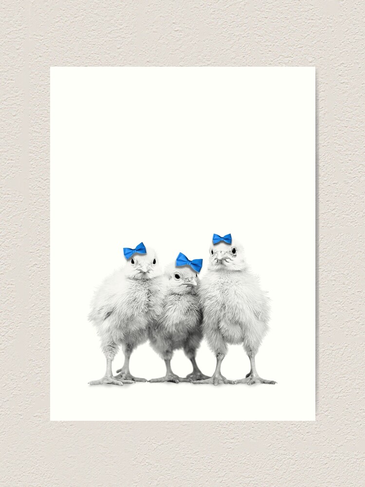 "Baby Chicks Artwork - Baby animal Prints, Animals with Bowties ...
