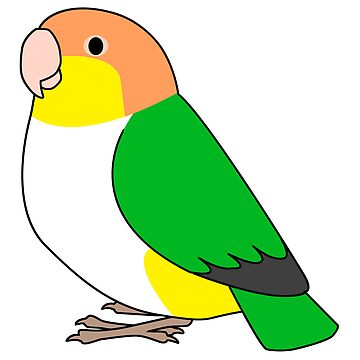 "White-bellied caique parrot cartoon drawing" Sticker for Sale by ...