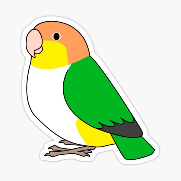 "White-bellied caique parrot cartoon drawing" Sticker for Sale by ...