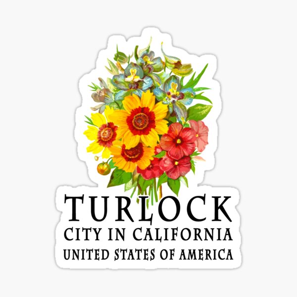 "Turlock in California USA 05" Sticker for Sale by PodiShawna | Redbubble
