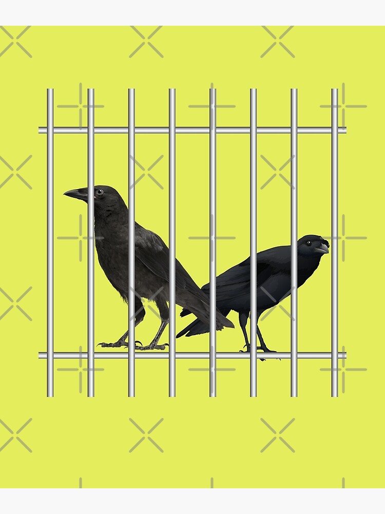 "Attempted Murder Crows In Jail" Poster for Sale by WMBegley | Redbubble