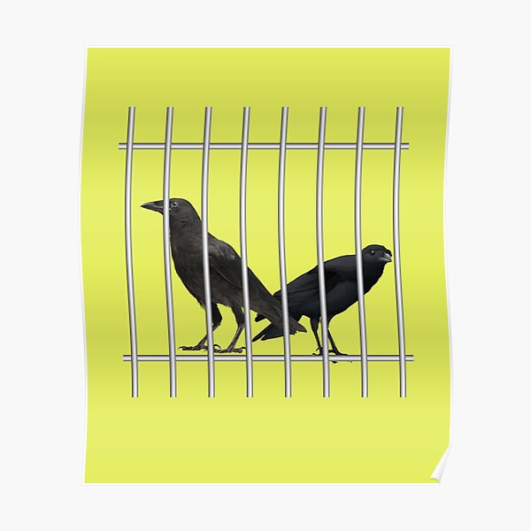 "Attempted Murder Crows In Jail" Poster for Sale by WMBegley | Redbubble