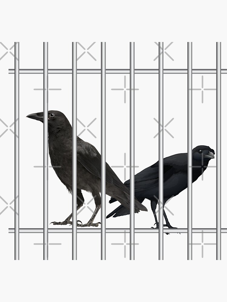"Attempted Murder Crows In Jail" Sticker for Sale by WMBegley | Redbubble