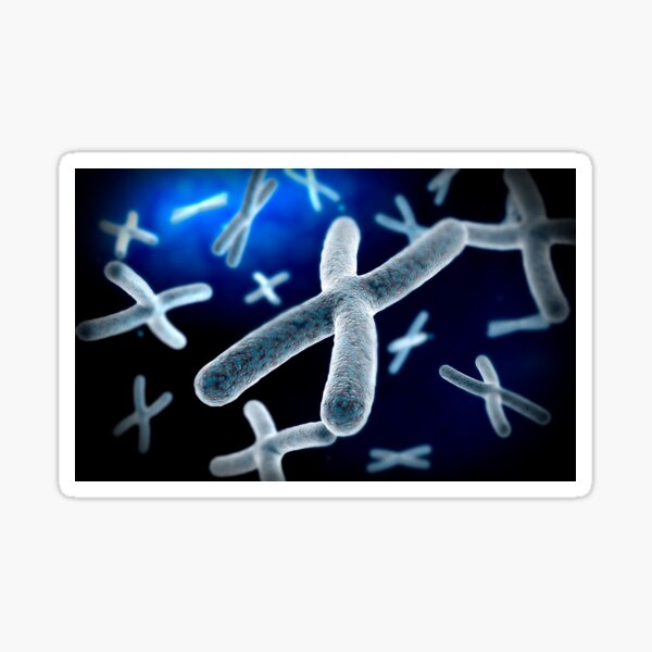 "Microscopic view of chromosome." Sticker by StocktrekImages | Redbubble