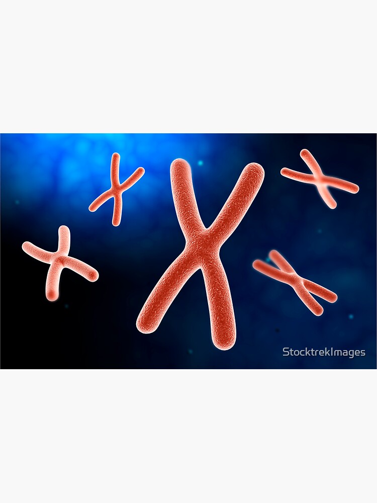 "Microscopic view of chromosome." Sticker for Sale by StocktrekImages ...