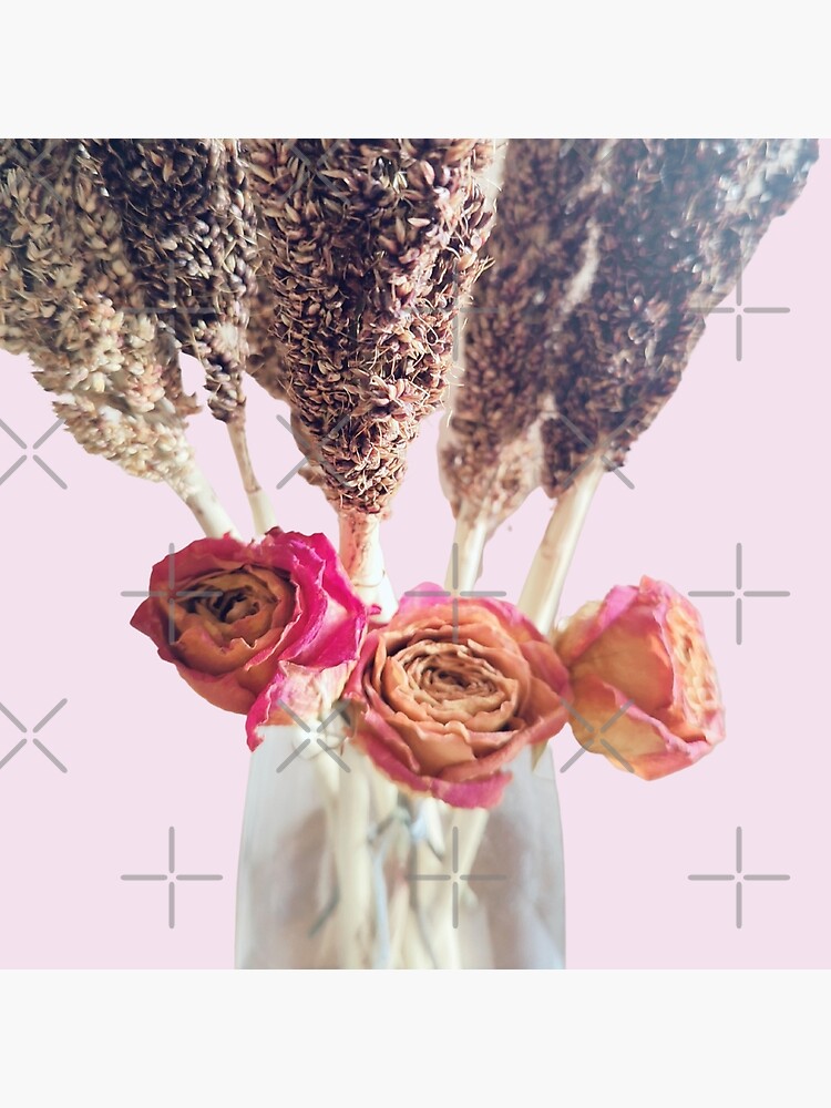 "Aesthetic Dried Light Pink and Orange Roses with Dried Sorghum Flower ...
