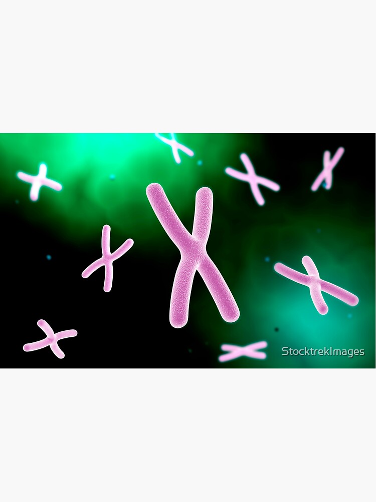 "Microscopic view of chromosome." Sticker by StocktrekImages | Redbubble