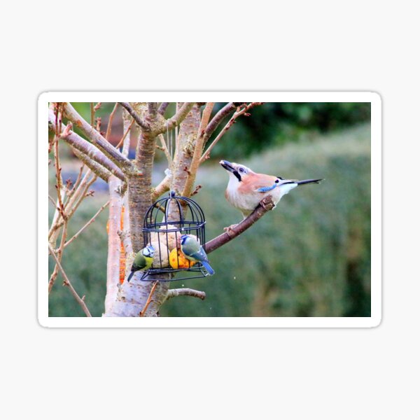 "Who is that stealing our food?" Sticker by missmoneypenny | Redbubble