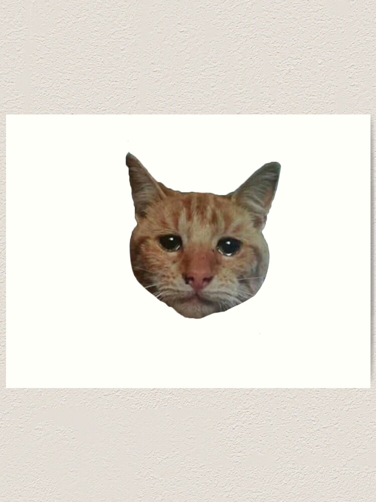 "crying cat meme" Art Print for Sale by summercakes | Redbubble