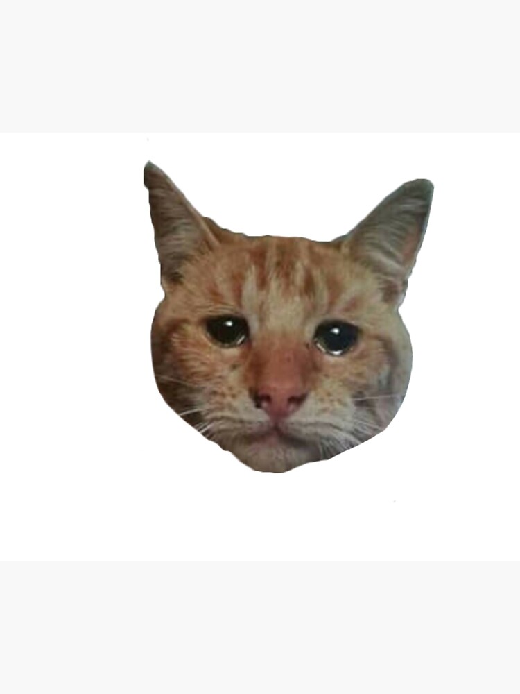 "crying cat meme" Poster by summercakes | Redbubble