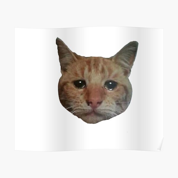 "crying cat meme" Poster by summercakes | Redbubble