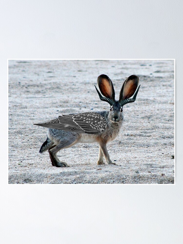 "Winged Jackalope" Poster for Sale by GoldenDragonFox | Redbubble