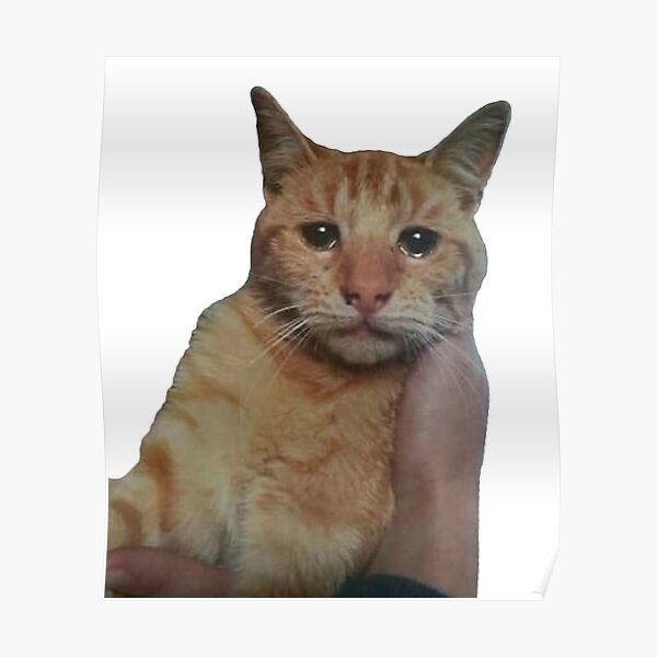 "crying cat being held meme" Poster by summercakes | Redbubble