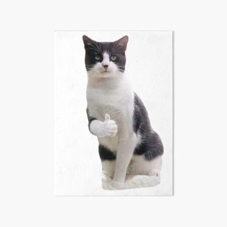 "approving cat meme" Art Board Print for Sale by summercakes | Redbubble