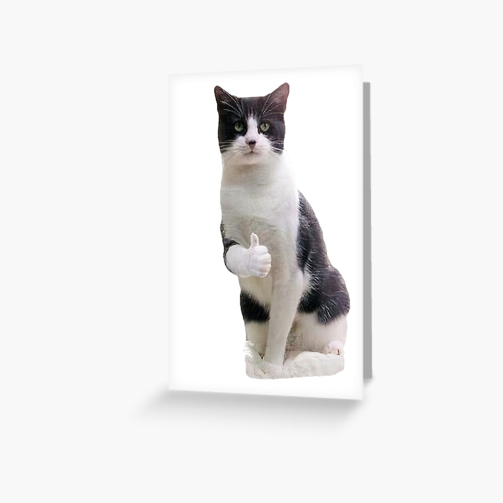 "approving cat meme" Greeting Card for Sale by summercakes | Redbubble