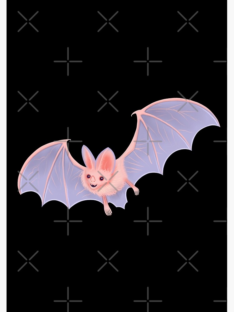 "Cute Pink Bat" Poster by Wendy-Stephens | Redbubble