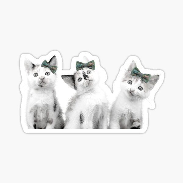 "Three Kittens Artwork - Baby animal Prints, Animals with Bowties ...