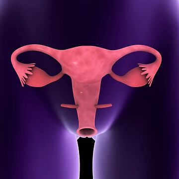 "Female reproductive organ, x-ray view." Poster for Sale by ...