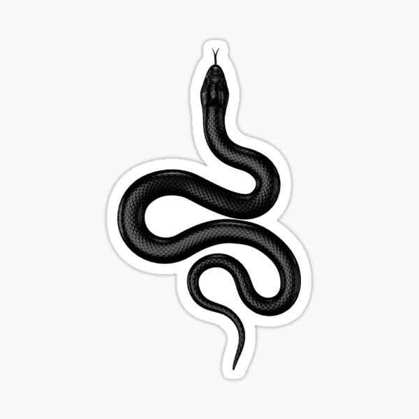 "Black Real Snake " Sticker for Sale by VITYY | Redbubble