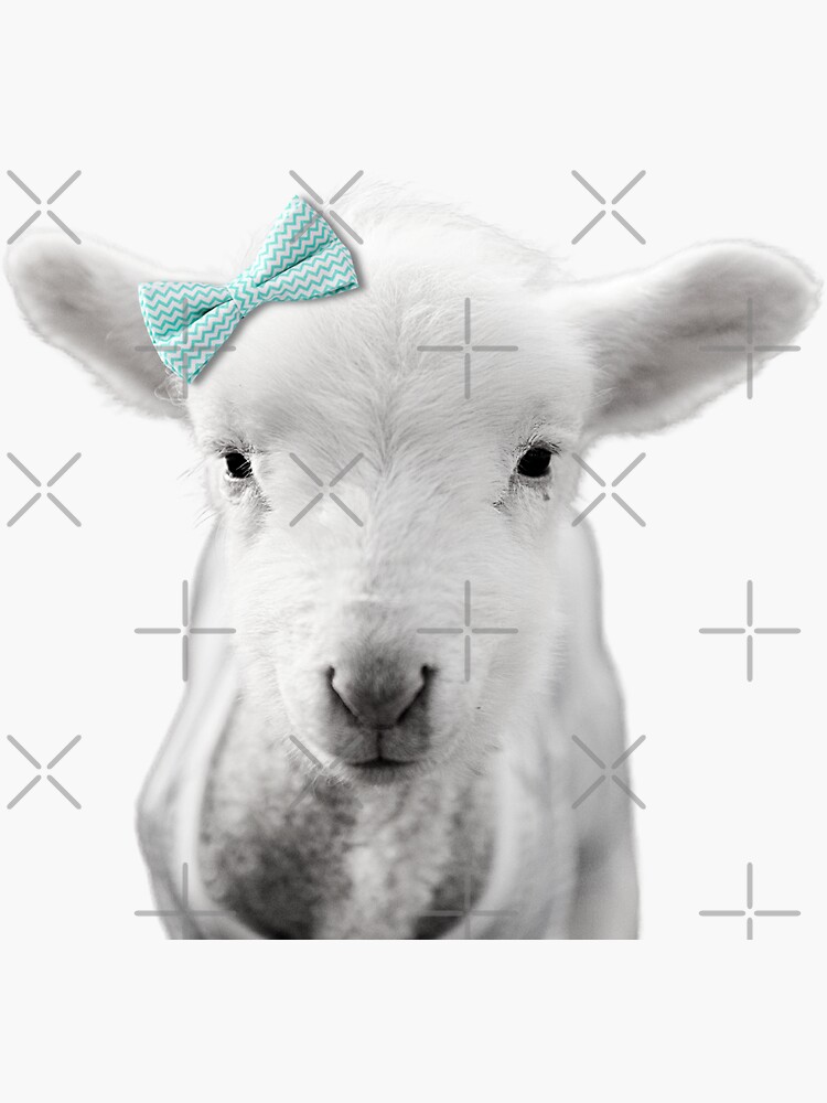 "White Lamb with Blue Bowtie Artwork - Baby animal Prints, Animals with ...