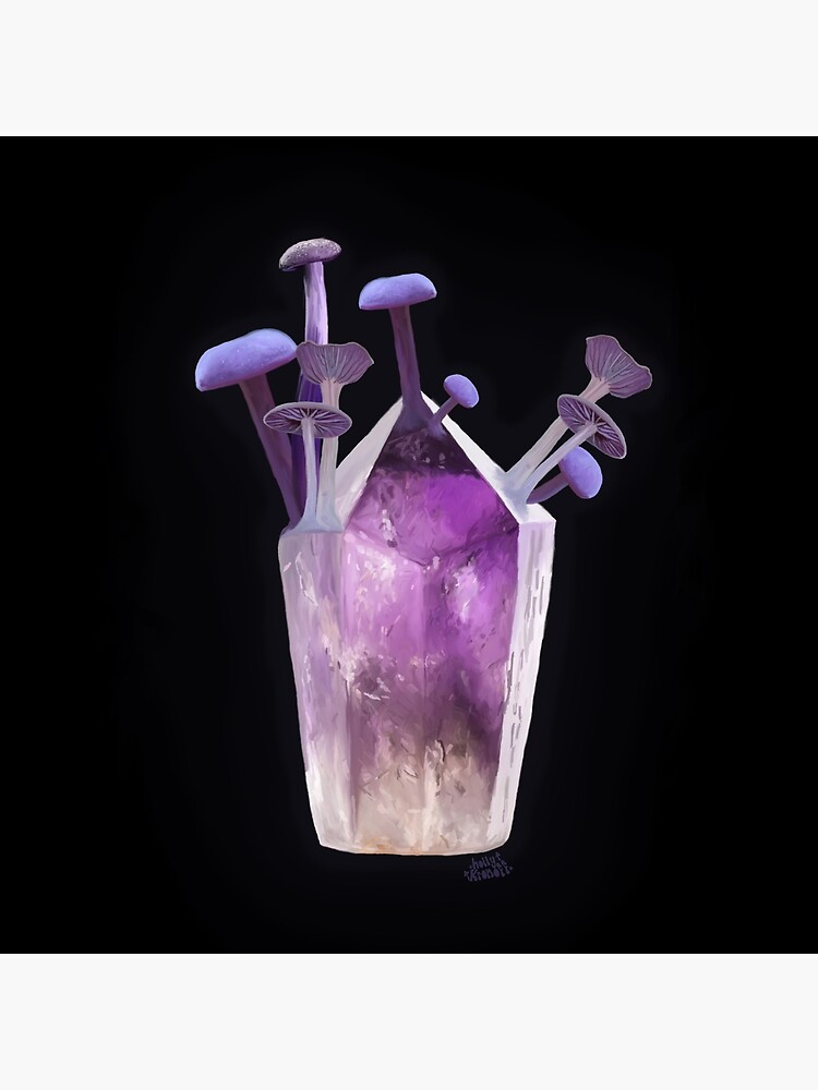 "Amethyst Deceiver" Poster for Sale by oopsimadeart | Redbubble