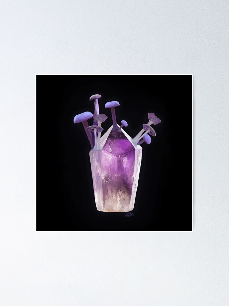 "Amethyst Deceiver" Poster for Sale by oopsimadeart | Redbubble