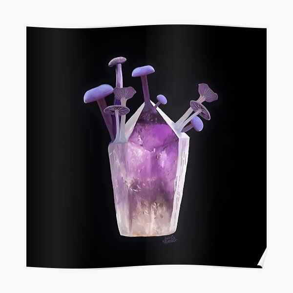 "Amethyst Deceiver" Poster for Sale by oopsimadeart | Redbubble