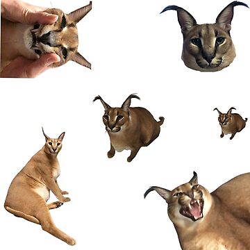 "Big Floppa Sticker Pack" Sticker for Sale by marylovesshrek | Redbubble