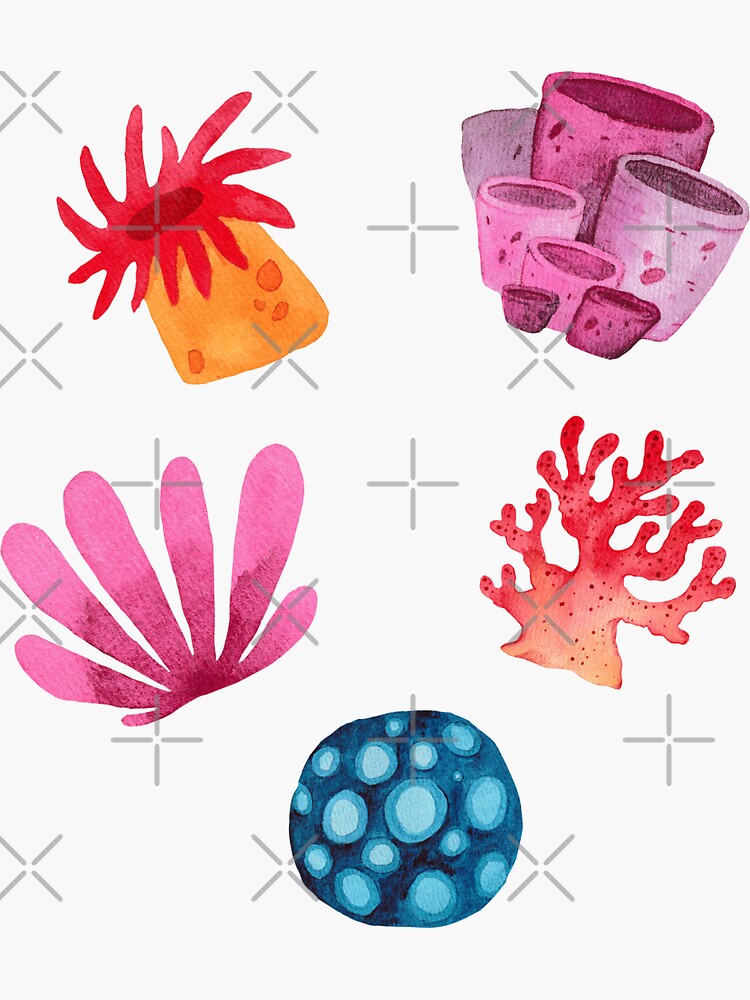 "Watercolor Coral Collection" Sticker for Sale by mpls-stickers | Redbubble