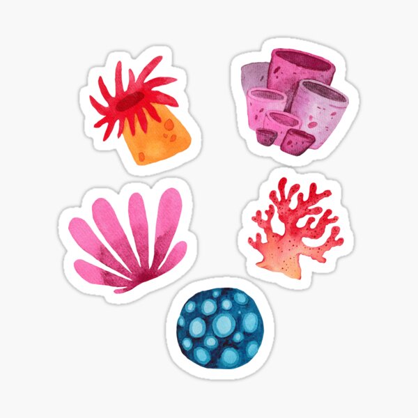 "Watercolor Coral Collection" Sticker for Sale by mpls-stickers | Redbubble