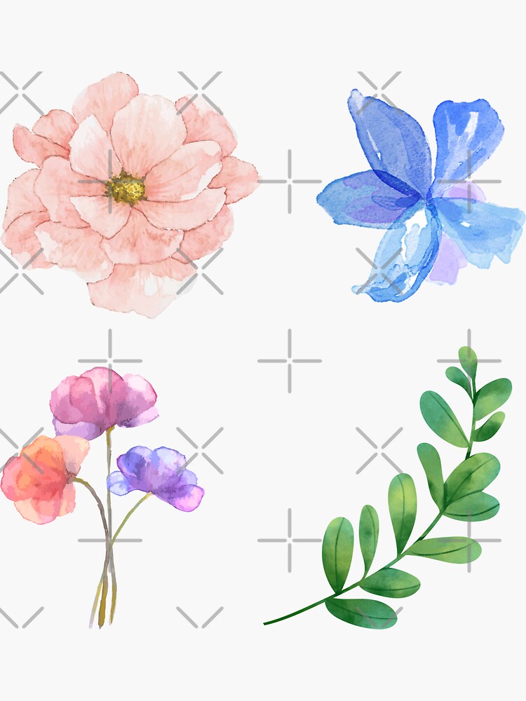 "Floral Illustration Collection" Sticker for Sale by mpls-stickers ...