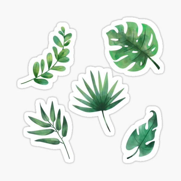 "Tropical Leaves Illustration Collection " Sticker by mpls-stickers ...