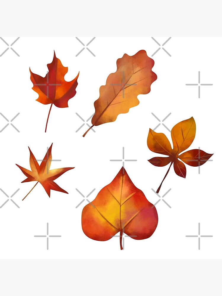 "Fall Leaves Illustrated Collection" Poster for Sale by mpls-stickers ...
