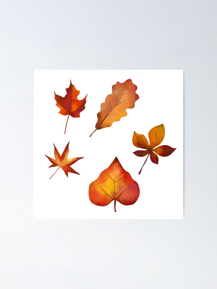 "Fall Leaves Illustrated Collection" Poster for Sale by mpls-stickers ...