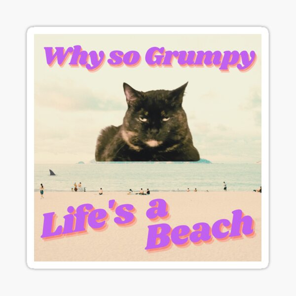 "Why so Grumpy...Life's a Beach" Sticker by Pop-Stoic | Redbubble