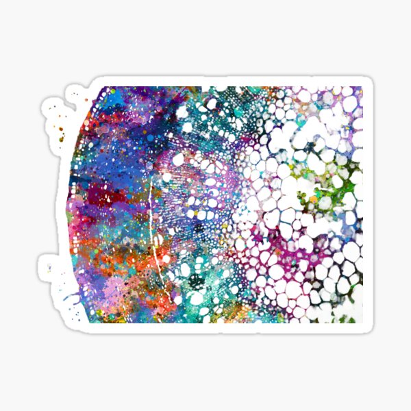 "Stem Cell Histology" Sticker for Sale by EvasDreams | Redbubble