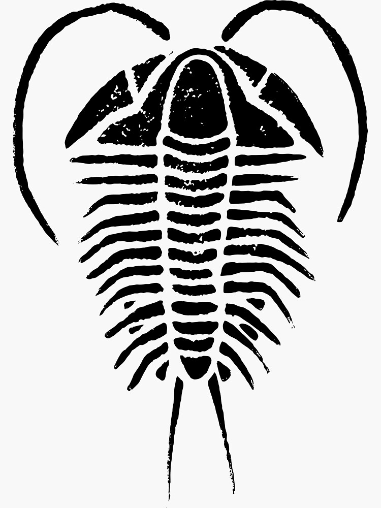 "Trilobite sticker" Sticker for Sale by totes-eukaryote | Redbubble