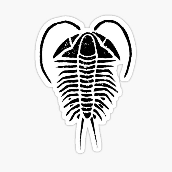 "Trilobite sticker" Sticker for Sale by totes-eukaryote | Redbubble