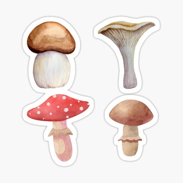 Pegatina «Colección de ilustración de acuarela de hongos» de mpls ...