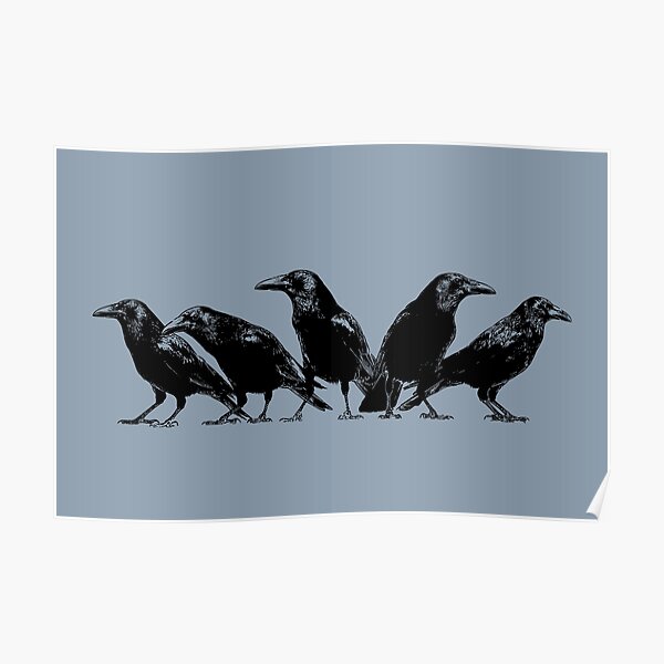"A Murder of Crows" Poster for Sale by studio228 | Redbubble